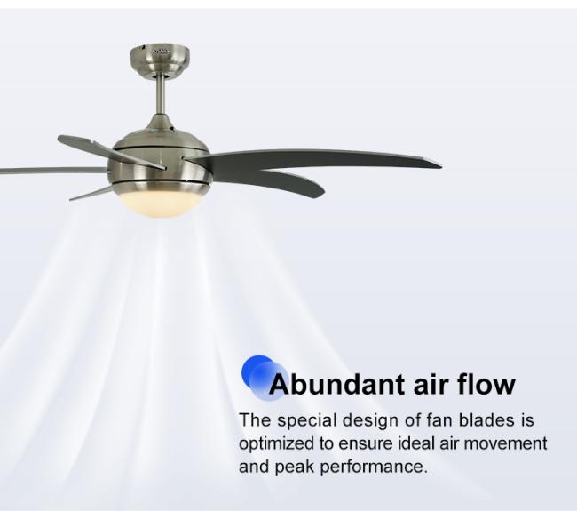 ceiling fan