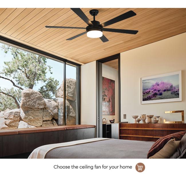 ceiling fan