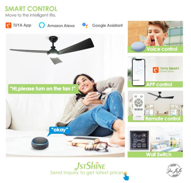 ceiling fan