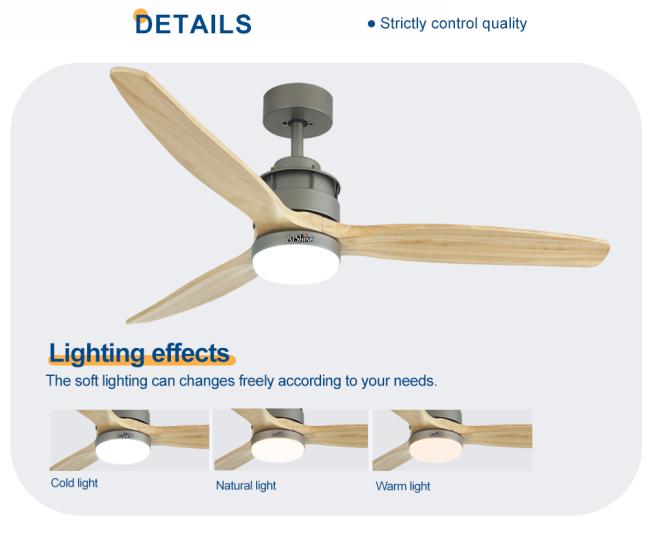 ceiling fan