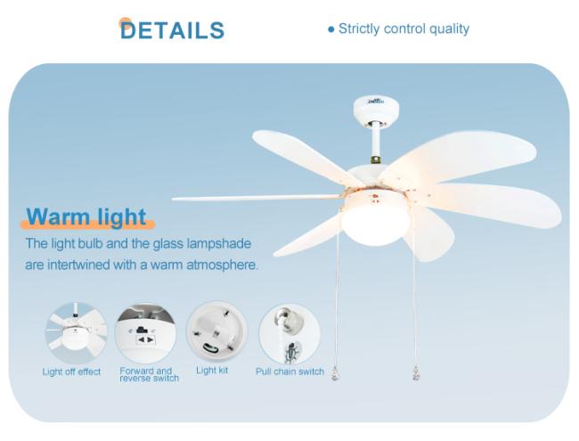 ceiling fan