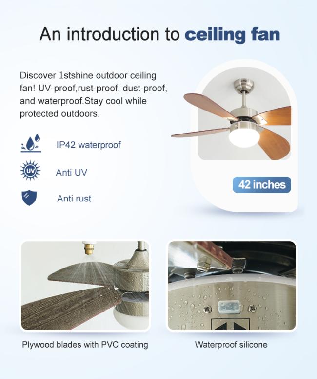 ceiling fan