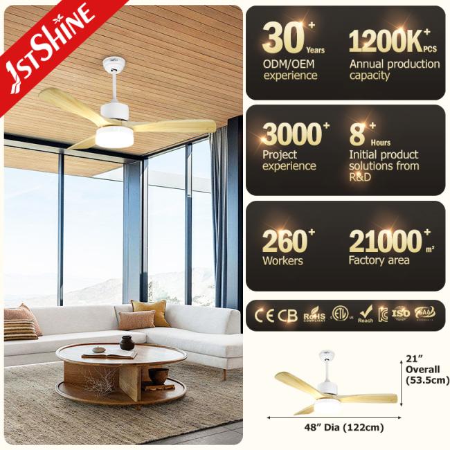 ceiling fan