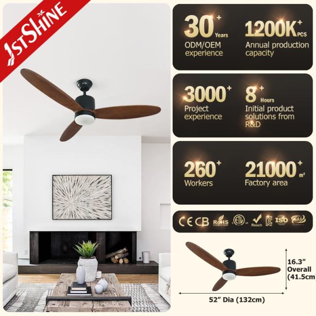 ceiling fan