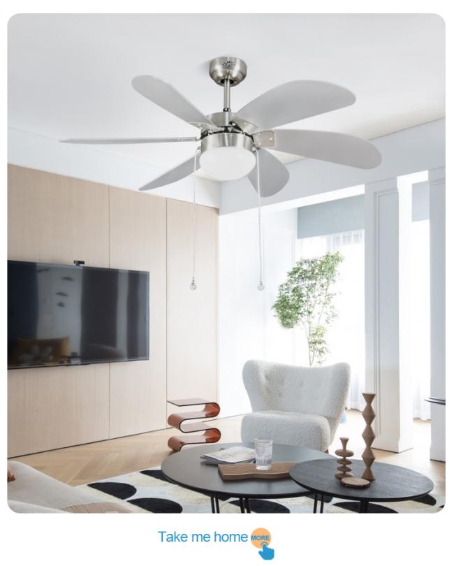 ceiling fan