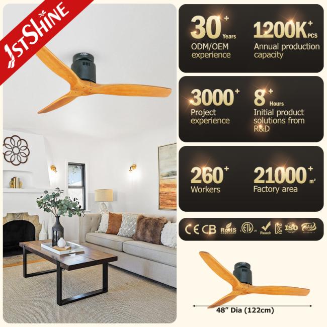 ceiling fan