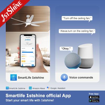 Cina Ventilatori di soffitto di 66 pollici più grandi con luci invertibili silenziosi motore aBS blade in vendita