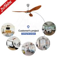 China 3 ABS Blade 52 Inch Plastic Ceiling Fan DCF FS52901 Energy Saving for sale