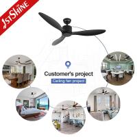 China Small And Low Profile Black Modern Ceiling Fan DC Motor ABS Blade for sale