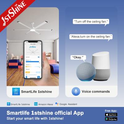 중국 70"/80"/100" LED 조명 옵션과 함께 큰 산업 천장 팬 판매용