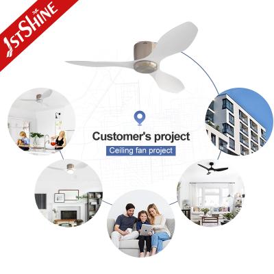 China Modern Ceiling Fan 48'' Plastic Blades DC Motor Dual-Function Model with Optional Light Kit for sale
