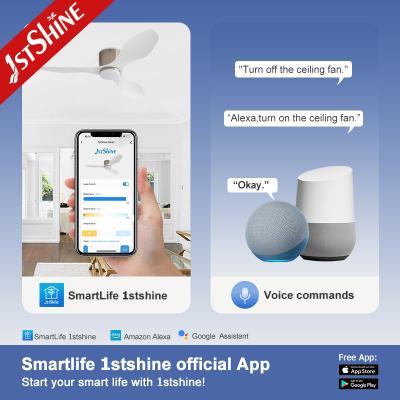 China Modern Ceiling Fan 48'' Plastic Blades DC Motor Dual-Function Model with Optional Light Kit for sale