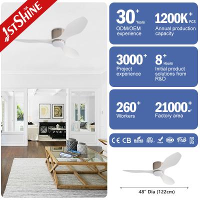 China Modern Ceiling Fan 48'' Plastic Blades DC Motor Dual-Function Model with Optional Light Kit for sale
