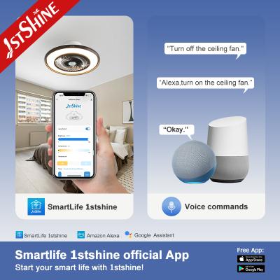 China 22 Inch Modern Flush Mount Ceiling Fan with LED Light – Compact, Quiet, and Stylish for sale