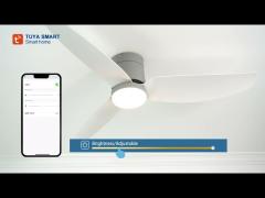 Low Profile Decorative Flush Mount Ceiling Fan With LED Light And Remote Control