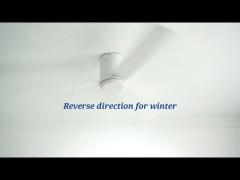 Dimmable Led Ceiling Fan With Remote Control Low-Ceiling Living Room Modern