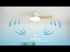 Ventilador de techo montado en el agua con luz con luz LED atenuable a distancia