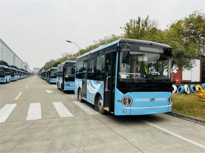 Cina minibus elettrico di Seat del servosterzo integrale 24 di 7m Zero Emission in vendita