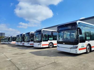 China 10.5m Neuer rein elektrischer Transitbus mit 30 Sitzplätzen Null-Emissions-Stadtbus zu verkaufen