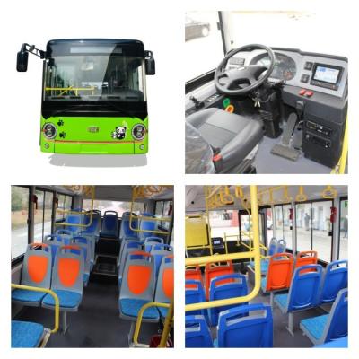 Cina 6.6m Mini City Bus elettrici New Energy City Bus 23 posti per il trasporto pubblico. in vendita