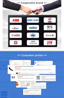 China Customized Size Plastic Injection Mould for 20-Day Fast Prototyping Manufacturing Process for sale