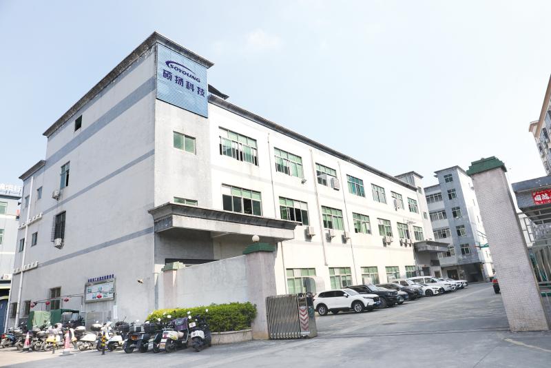 Shenzhen Soyoung Technology Co.,Ltd.