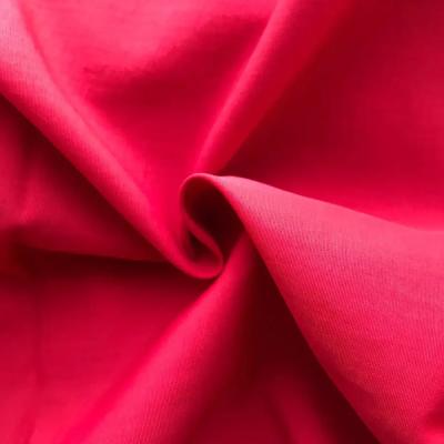 Cina Waterproof 100% Nylon 228t Nylon Taslan Fabric Crinkle Style For Jackets in vendita