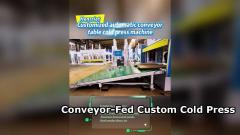 Conveyor-Fed Custom Cold Press: Synchronizing Automated Material Handling with Cold Lamination