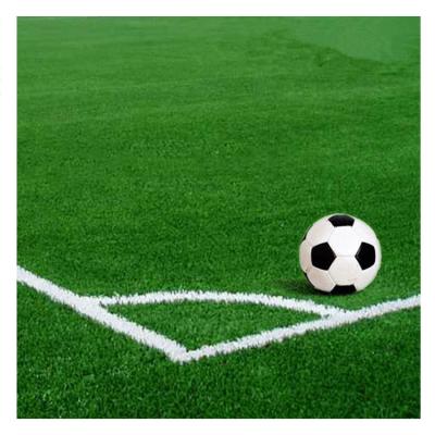 China 30 mm 50 mm 55 mm 60 mm groen kunstgras gras tapijt gras voor voetbalveld stadion Te koop