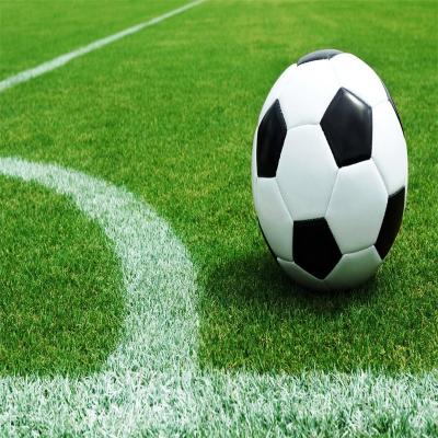 China Natuurlijke niet-opvulbare 50 mm 60 mm voetbalgras voor voetbalstadion en sportschool Te koop