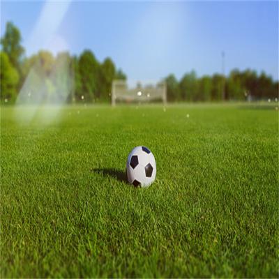 China Natuurlijke niet-opvulbare 50 mm 60 mm voetbalgras voor voetbalstadion en sportschool Te koop