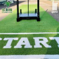 China Multi-function Dorelom Multi-function Grass Artificial Color Gym Mat with Printing Logo for sale