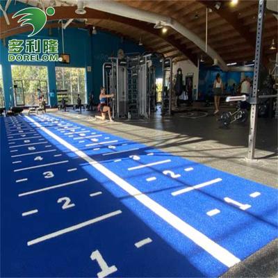 China Tuin Sport Gym vloer mat met Dorelom logo aangepast slee track kunstgras Te koop