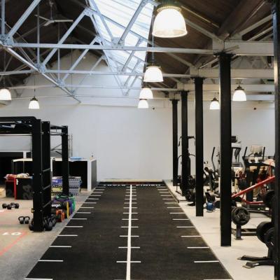 China Dorelom Gym Fitness Training Turf Kunstgras voor Indoor Gym en Sportvloeren Te koop