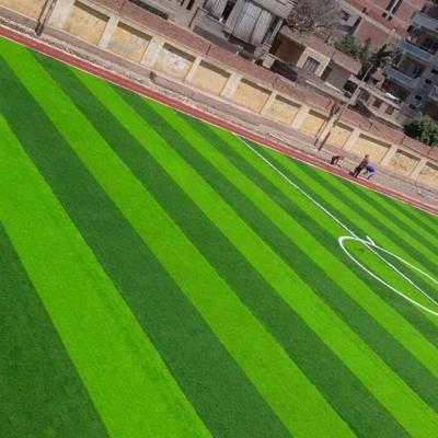 China Football Field W Shape Bi-Colors UV Resistant PE Monofilament Artificial Grass Turf for sale