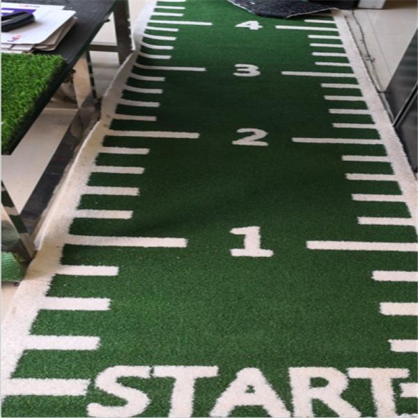 Quality 50mm Cricket Pitch Artificial Grass for Futsal Gym Fitness Soccer Football Stadium for sale
