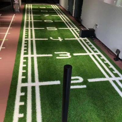 China Sport Other Artificial Lawn Landscape for Golf Soccer Fields Gym Grass Synthetic Turf for sale