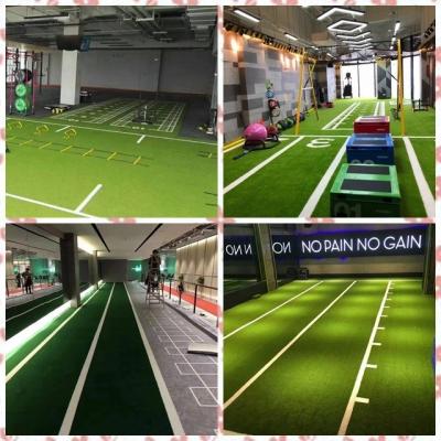 Cina Pavimenti sportivi Scale di fitness allenamento erba artificiale per palestra in vendita