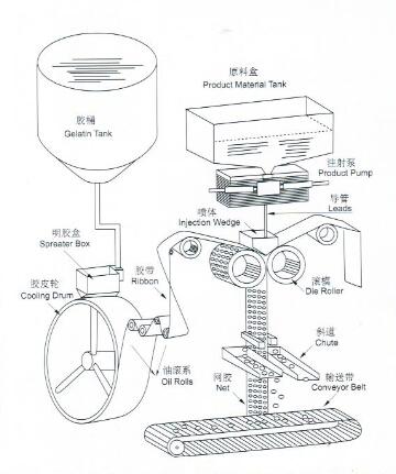 Laboratory Pharmaceutical Machinery For Softgel encapsulation machine oil and liquid capsule