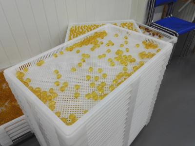 China 0,5 en 0,68 duim paintball productiemachine voor Cs-Spel S403PB Te koop
