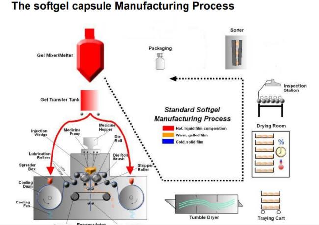 Softgel making machine spare parts