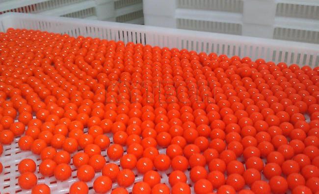 S610PB Paintball Making Machine