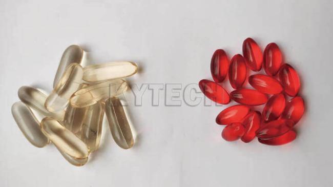 Detailed view of Softgel Encapsulation Machine components