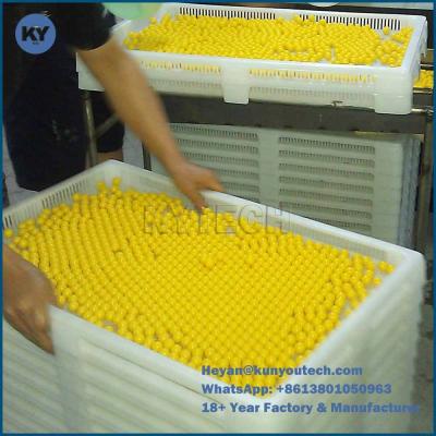 China Food Grade Softgel Drying Trays for sale