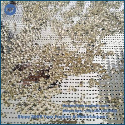 China Automatische SS316 nahtlose Softgelmaschine 8-10 Kugeln/min zu verkaufen