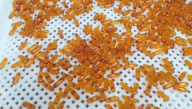 Food grade plastic drying trays for capsules and paintballs