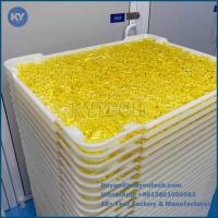 China Plastic Drying Trays For Drying Paintball for sale