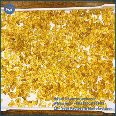 Cina Materiale PP/ABS vassoio di asciugatura in plastica a fondo piatto 758x608x40 mm per l'asciugatura delle capsule in vendita