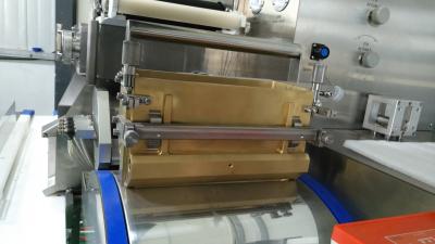 China SS Paintball Making Soft Gelatin Machine Automated Filling Capsule for sale