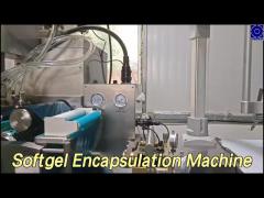 Automatic Plc Softgel Encapsulation Machine 22800 pcs/ hour With Touch Screen